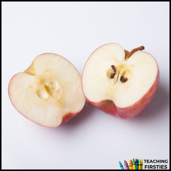 First Grade Apple Day Activities For Writing, Science, And Reading ...