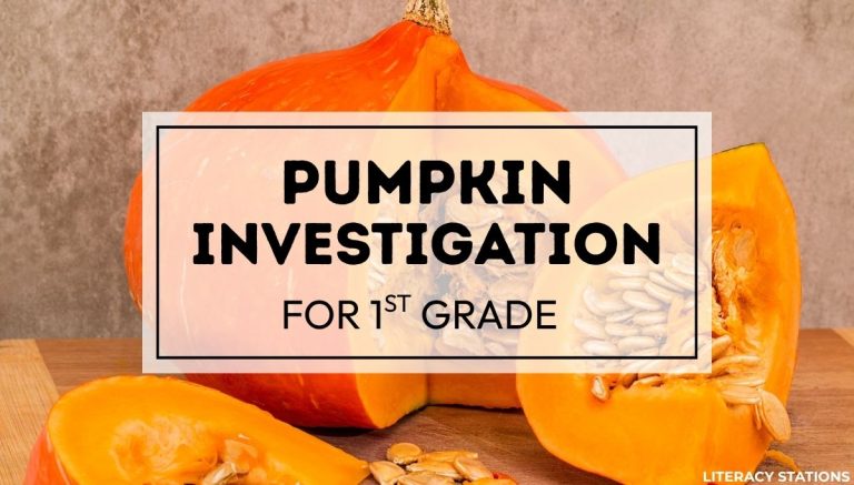 Pumpkin Investigation Day in First Grade: Materials, Setup, and Science ...