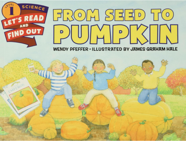 20 Best Pumpkin Read Alouds For First Grade Classrooms - Teaching Firsties