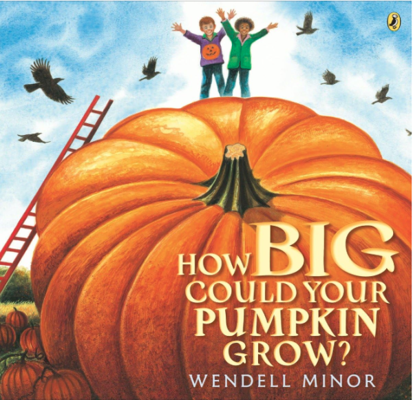 20 Best Pumpkin Read Alouds For First Grade Classrooms - Teaching Firsties