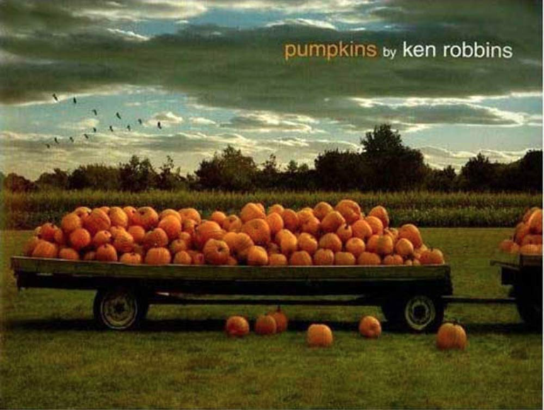 20 Best Pumpkin Read Alouds For First Grade Classrooms - Teaching Firsties