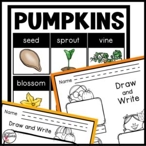 5 Quick and Easy Pumpkin Writing Activities for 1st Grade - Teaching ...